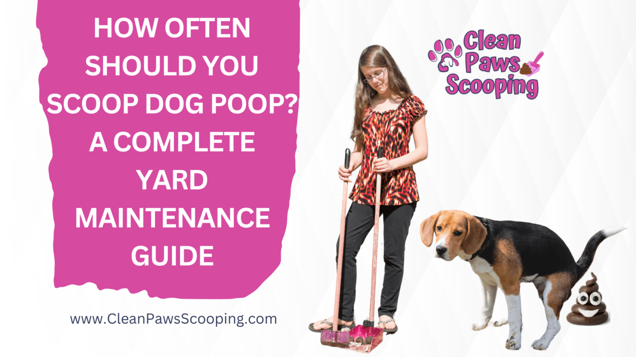 How Often Should You Scoop Dog Poop? A Complete Yard Maintenance Guide ...